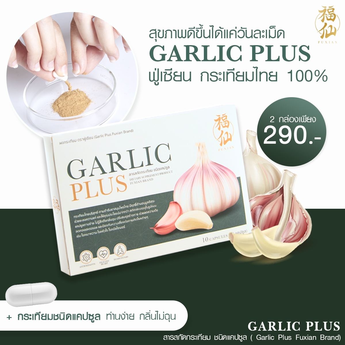 กระเทียมไทย : Garlic Plus